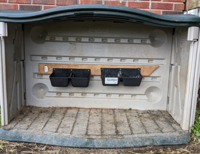 Essentials for Raising Sheep in Your Backyard – Mother Earth News